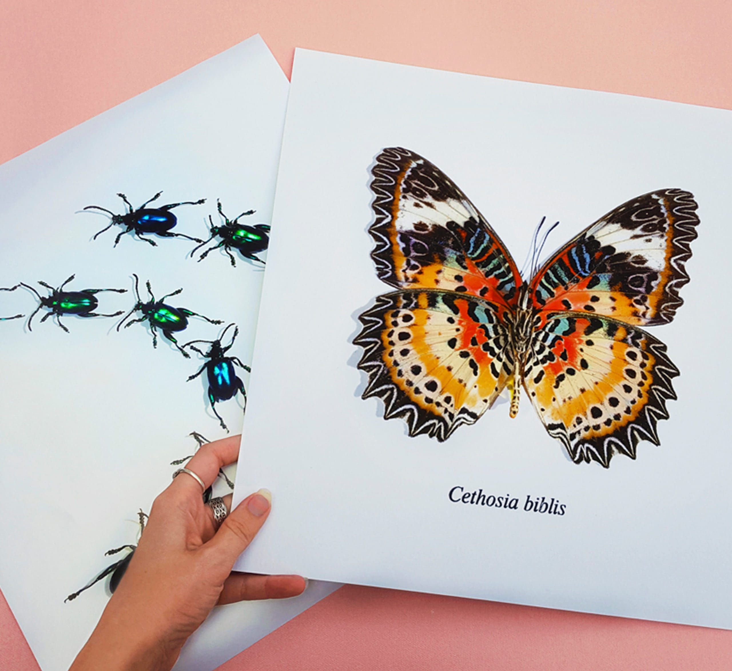 fine art paper prints | Canvas Giclee Printing