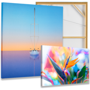 Canvas Printing for Artists & Photographers I Large Canvas Printing